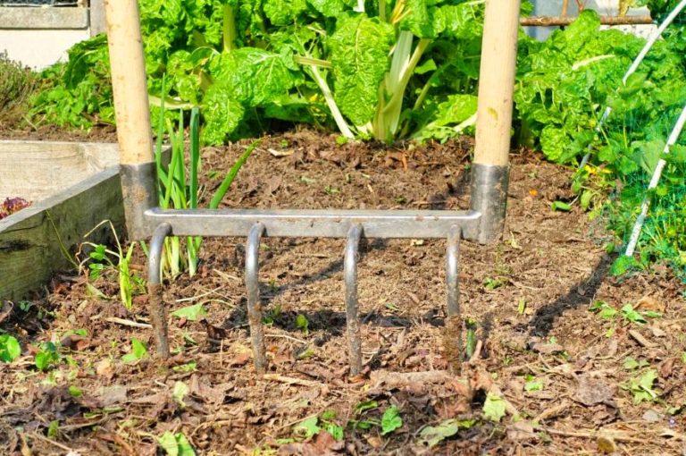 La grelinette : Utilisation, avantages et comment bien choisir