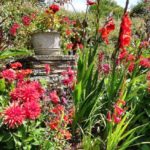 Fleur jaune : la liste des 30 plus belles variétés de fleurs