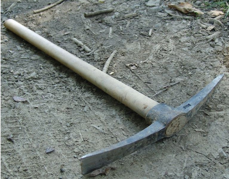 Liste des outils de jardinage : notre top 20 des indispensables