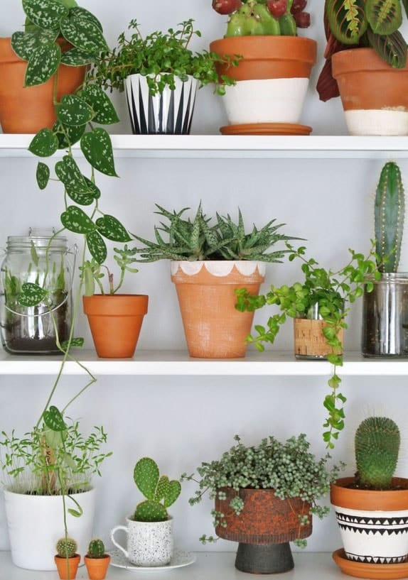 Deco Pinterest : toutes les tendances déco du moment en 50 images