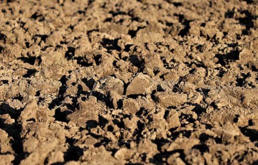 Labourer la terre : comment faire et quelle technique utiliser ...