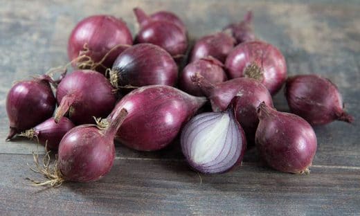 Semer des oignons : quand, comment et quelles variétés choisir