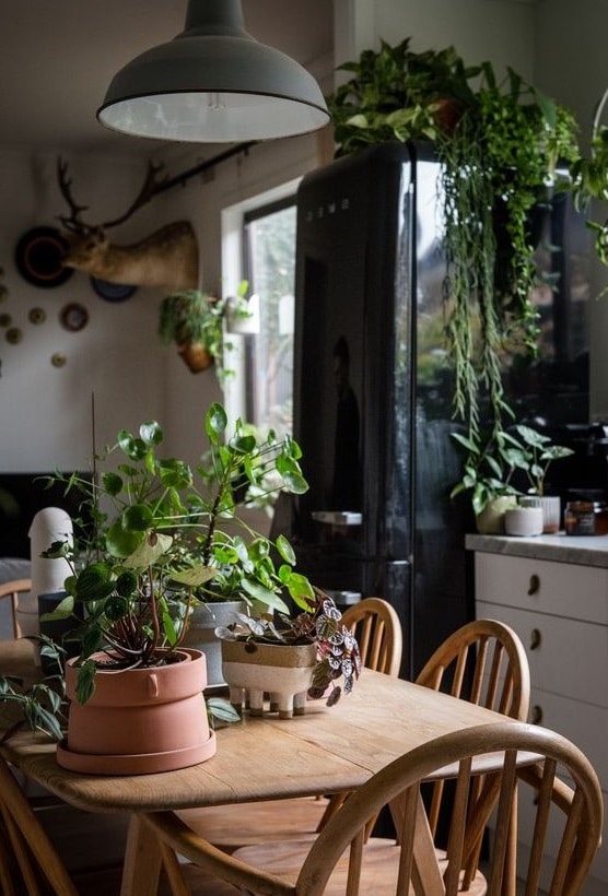 Déco Jungle : 48 idées pour trouver l'inspiration - Ctendance.fr