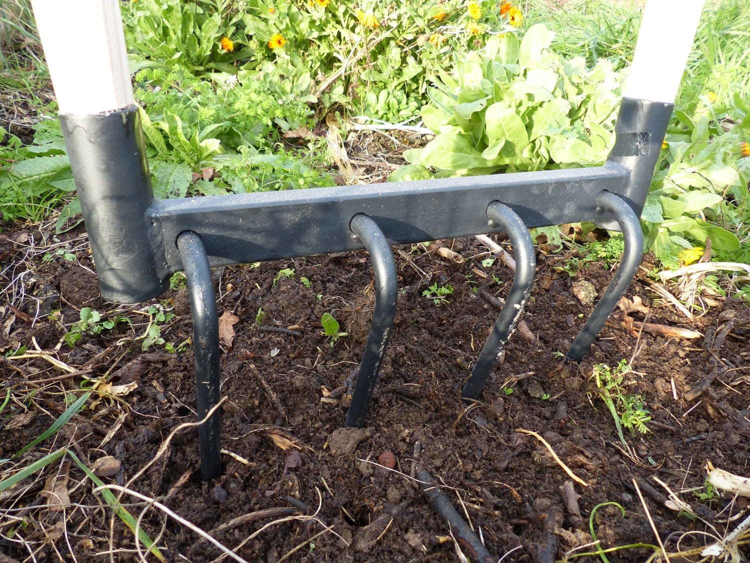 Choisir une grelinette pour son jardin : 4 ou 5 dents ? Nos conseils