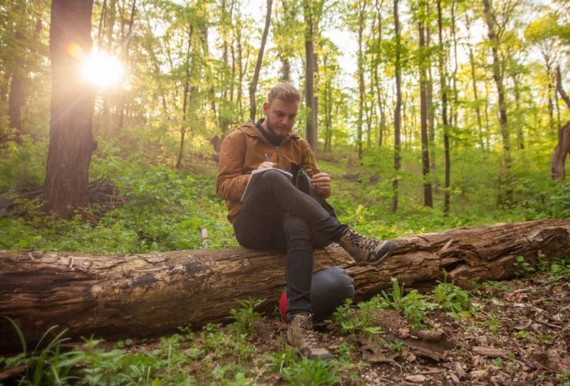 Mesurer un arbre : Les méthodes et calculs pour évaluer sa hauteur
