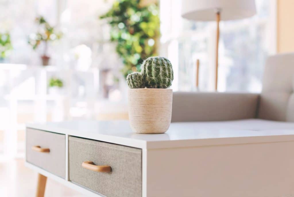 Table basse : 11 idées et inspirations tendance pour la décorer