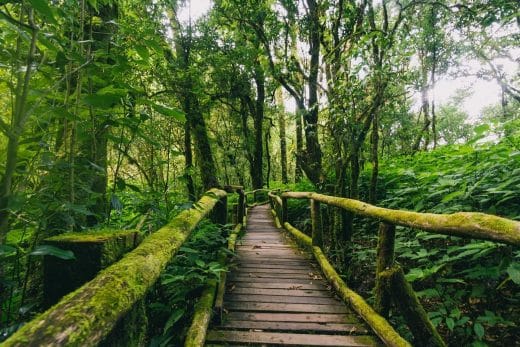 Comment protéger la nature ? Ctendance