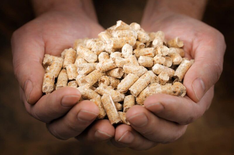 Voici le test imparable pour savoir si vos pellets sont toujours d ...