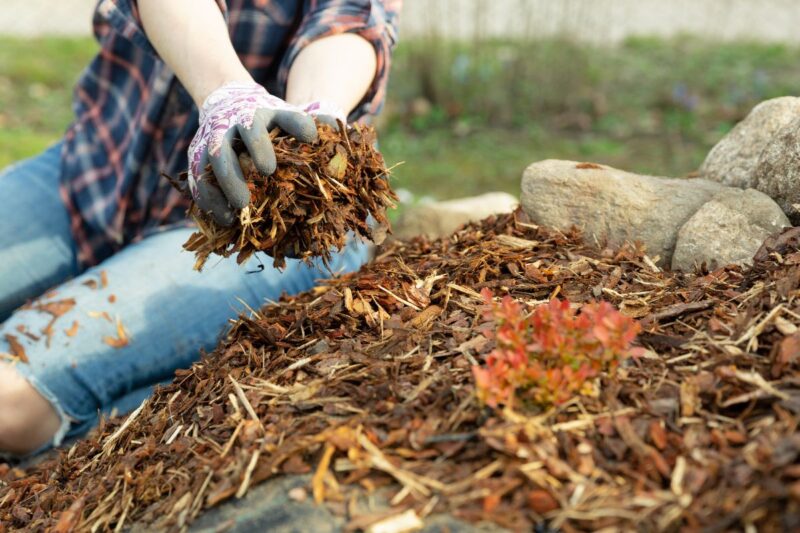 Jardin : découvrez les meilleurs paillages d'automne à utiliser pour un ...