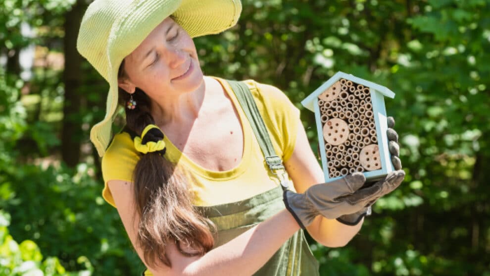 Labourer la terre : comment faire et quelle technique utiliser ...