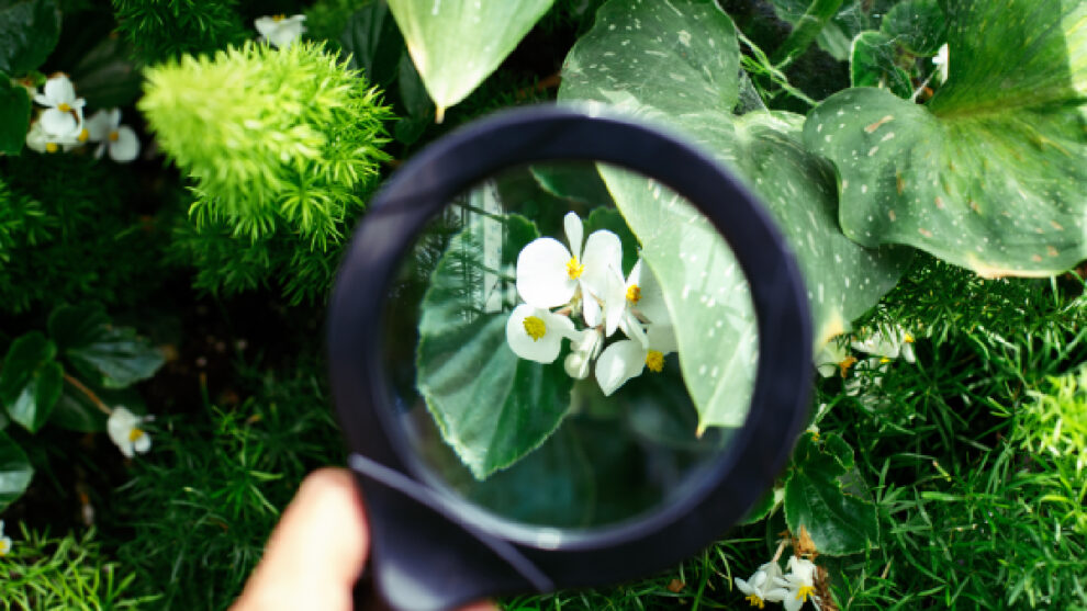 Protéger la nature commence ici : votre jardin peut devenir un refuge ...